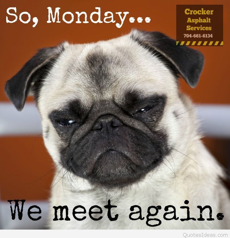 Peter Crocker on LinkedIn: #asphaltcontractor Peter Crocker on LinkedIn: #asphaltcontractor