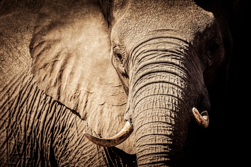 How to Implement Automatic Partitioning in PostgreSQL 15 for Improved ... How to Implement Automatic Partitioning in PostgreSQL 15 for Improved ...