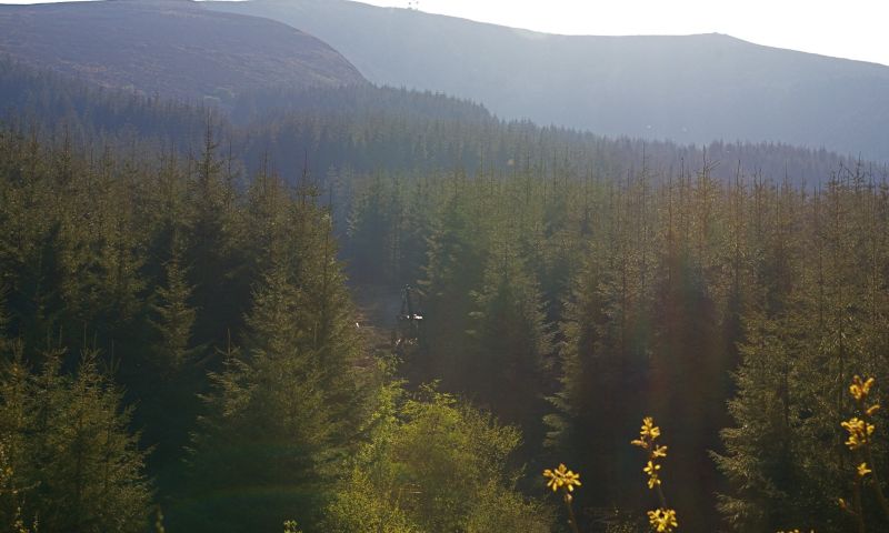 Kristina Weenink on LinkedIn: Sustainable Fitch Shows Rising Interest ... Kristina Weenink on LinkedIn: Sustainable Fitch Shows Rising Interest ...