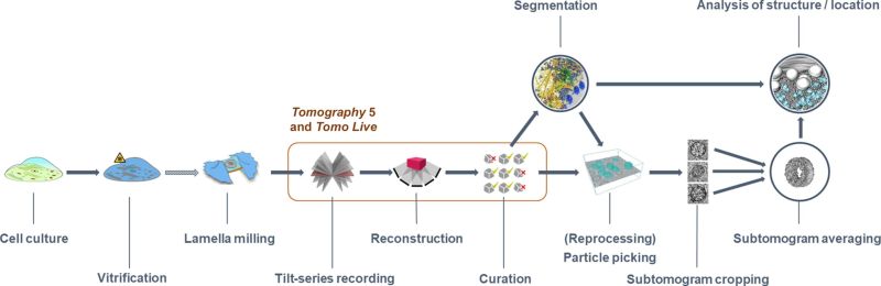 #cryoet #tomography | Accelerating Microscopy #cryoet #tomography | Accelerating Microscopy