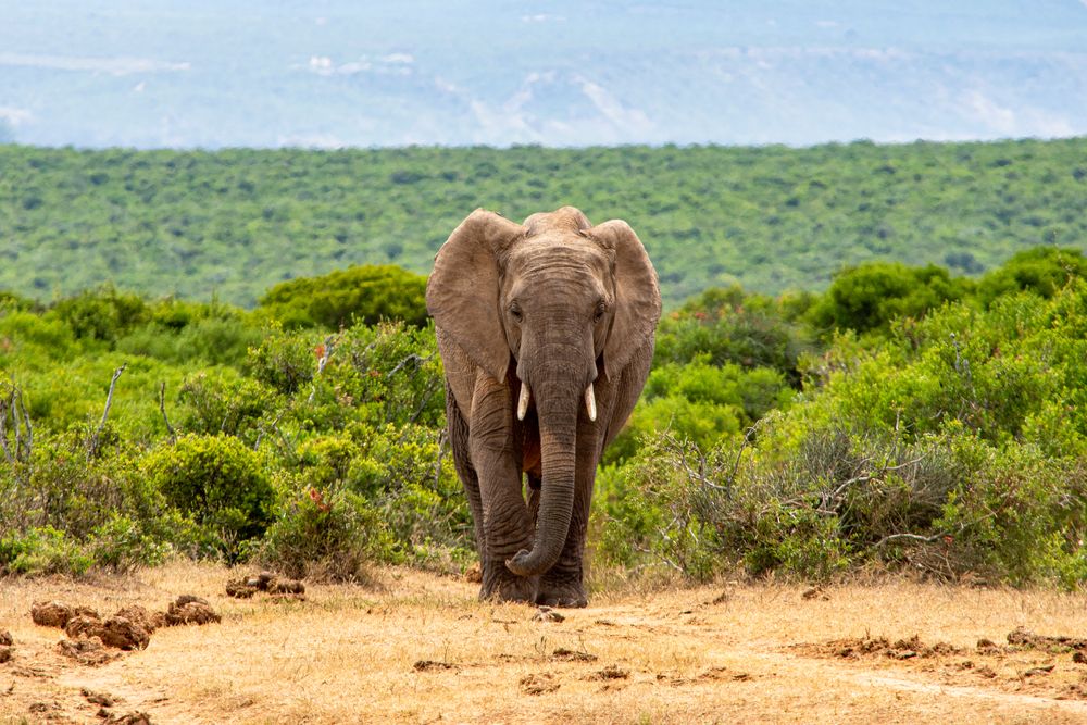 Tips and Techniques for Managing Mutexes in PostgreSQL | MinervaDB Tips and Techniques for Managing Mutexes in PostgreSQL | MinervaDB