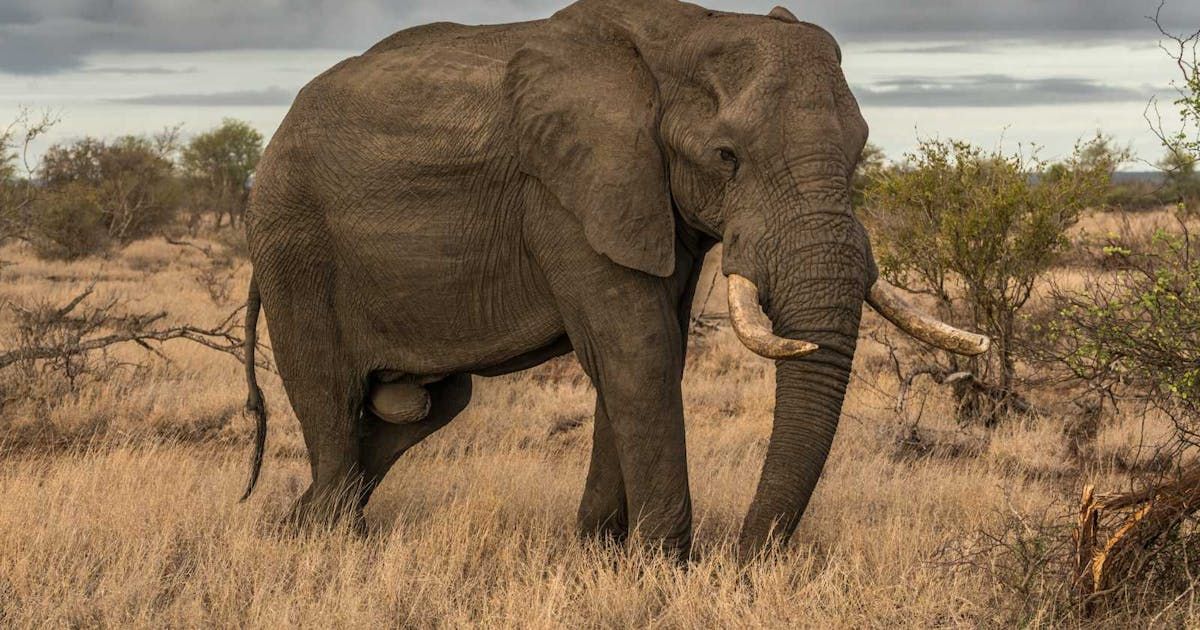 MinervaDB on LinkedIn: Optimizing PostgreSQL Partition Pruning MinervaDB on LinkedIn: Optimizing PostgreSQL Partition Pruning