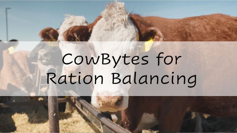 Beef Cattle Research Council on LinkedIn: CowBytes for Ration Balancing Beef Cattle Research Council on LinkedIn: CowBytes for Ration Balancing