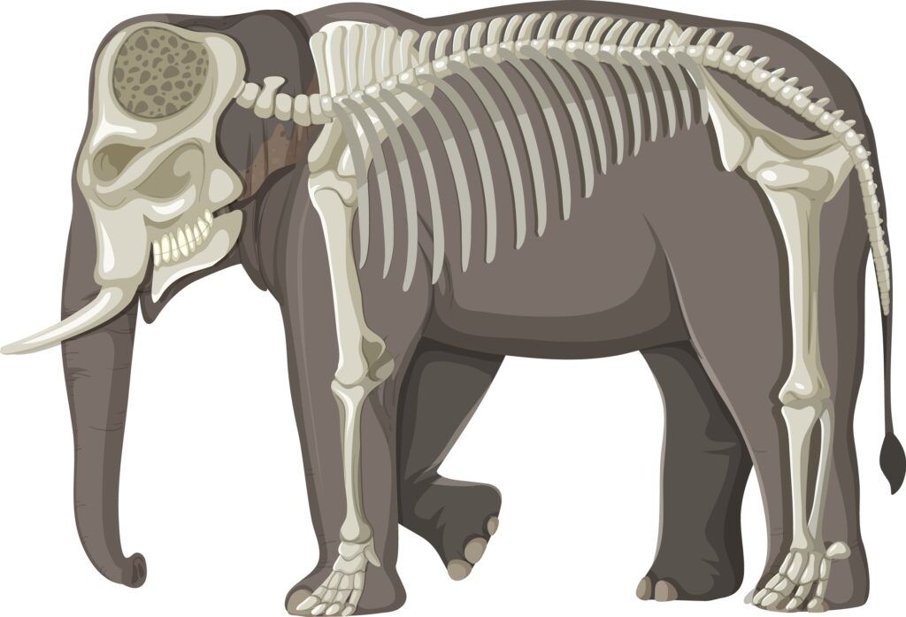 MinervaDB on LinkedIn: Anatomy of PostgreSQL I/O Subsystem - PostgreSQL ... MinervaDB on LinkedIn: Anatomy of PostgreSQL I/O Subsystem - PostgreSQL ...