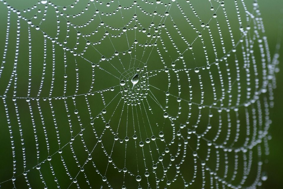 Integrating Angular with RESTful APIs: A Step-by-Step Tutorial | Deepak ... Integrating Angular with RESTful APIs: A Step-by-Step Tutorial | Deepak ...