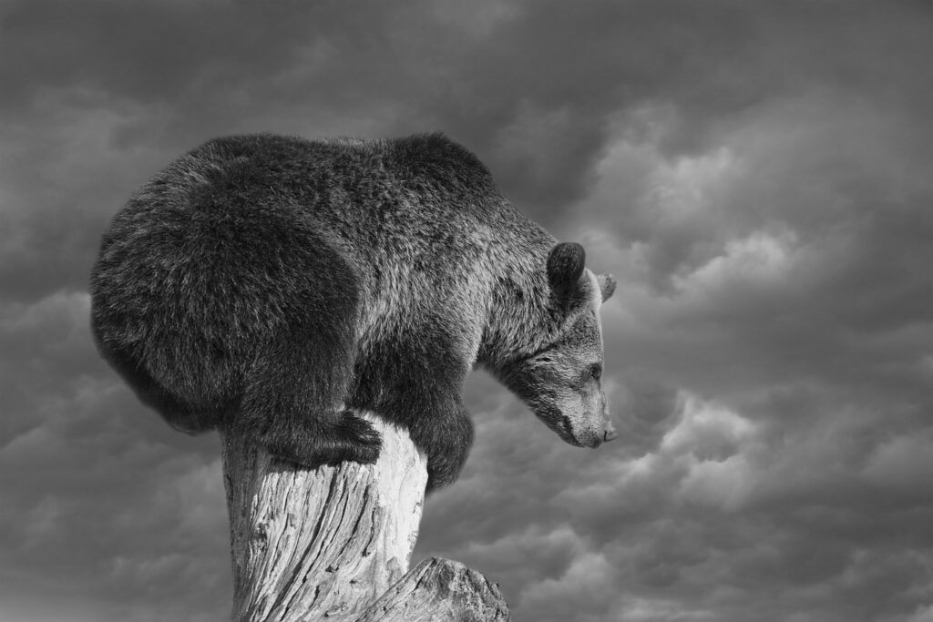 MinervaDB on LinkedIn: Identifying and Resolving Resource Conflicts in ... MinervaDB on LinkedIn: Identifying and Resolving Resource Conflicts in ...