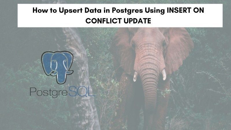 How to Upsert Data in Postgres Using INSERT ON CONFLICT UPDATE | Geshan ... How to Upsert Data in Postgres Using INSERT ON CONFLICT UPDATE | Geshan ...