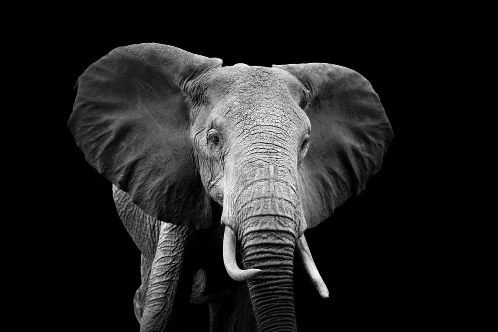 MinervaDB on LinkedIn: Setting Up High Availability in PostgreSQL: Step ... MinervaDB on LinkedIn: Setting Up High Availability in PostgreSQL: Step ...