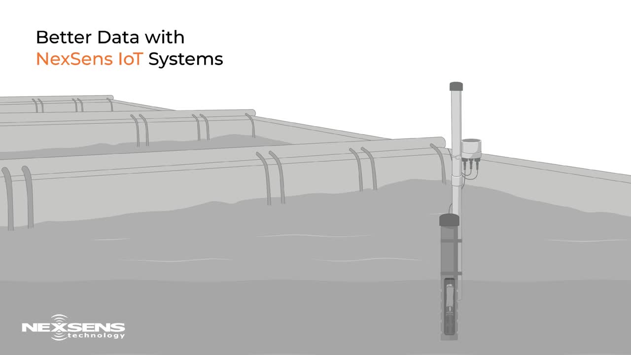 NexSens Technology, Inc on LinkedIn: #ras #aquaculture #fish NexSens Technology, Inc on LinkedIn: #ras #aquaculture #fish