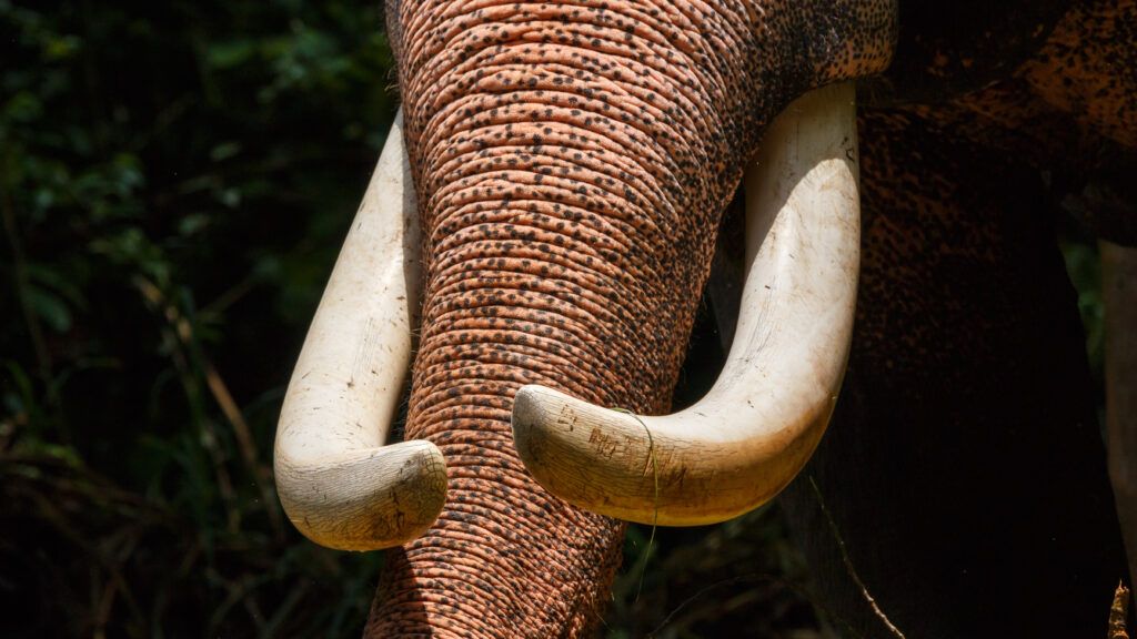 MinervaDB on LinkedIn: Demystifying Cache Buffer Chains in PostgreSQL ... MinervaDB on LinkedIn: Demystifying Cache Buffer Chains in PostgreSQL ...