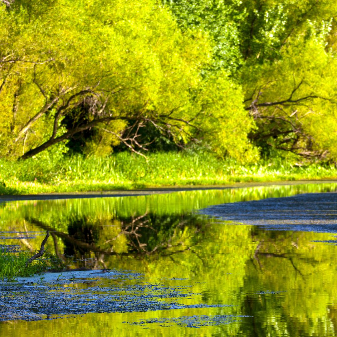 QuestCDN | Powered by Hubexo on LinkedIn: #construction #streambank QuestCDN | Powered by Hubexo on LinkedIn: #construction #streambank