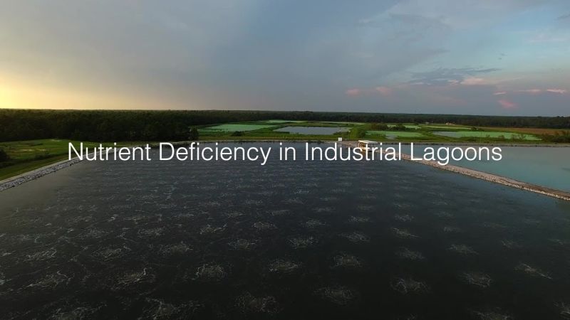 Diagnosing and Correcting Nutrient Deficiency in Industrial Lagoons ... Diagnosing and Correcting Nutrient Deficiency in Industrial Lagoons ...