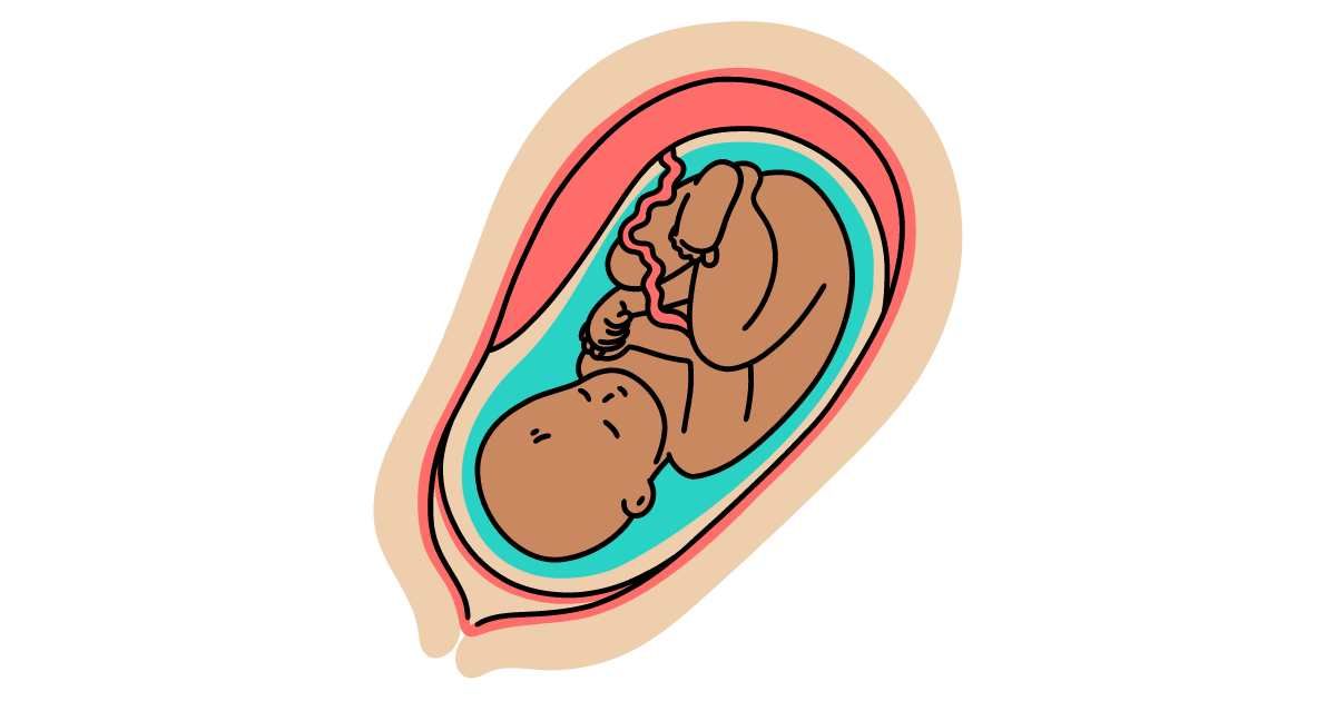 Hilary Erickson on LinkedIn: Symptoms of Baby Turning Head Down - The ... Hilary Erickson on LinkedIn: Symptoms of Baby Turning Head Down - The ...