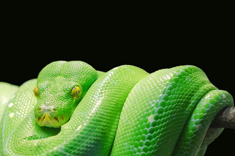 Dakota Hollmann on LinkedIn: Installation Guide: Python 3.x 🐍 Dakota Hollmann on LinkedIn: Installation Guide: Python 3.x 🐍