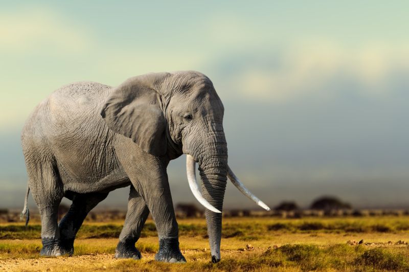 MinervaDB on LinkedIn: Parsing and Binding in PostgreSQL Queries MinervaDB on LinkedIn: Parsing and Binding in PostgreSQL Queries