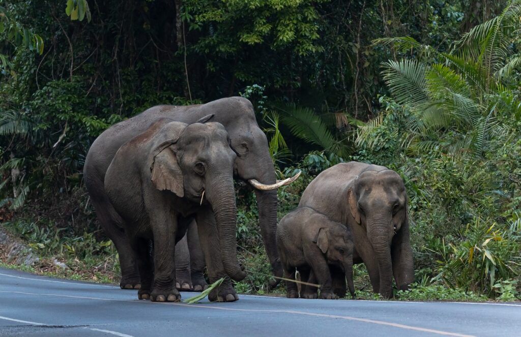 MinervaDB on LinkedIn: Securing PostgreSQL Databases: Cyberattack ... MinervaDB on LinkedIn: Securing PostgreSQL Databases: Cyberattack ...