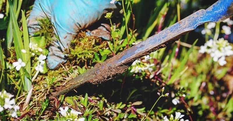 Dale Hammond CRS GRI on LinkedIn: 5 Ways to Improve Your Gardening Skills Dale Hammond CRS GRI on LinkedIn: 5 Ways to Improve Your Gardening Skills