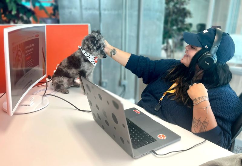 Petzey on LinkedIn: Top 4 Reasons Why Employers Should Offer Pet ... Petzey on LinkedIn: Top 4 Reasons Why Employers Should Offer Pet ...