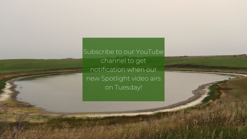 Sask INC - the Innovation Network Community on LinkedIn: Sask INC - YouTube Sask INC - the Innovation Network Community on LinkedIn: Sask INC - YouTube