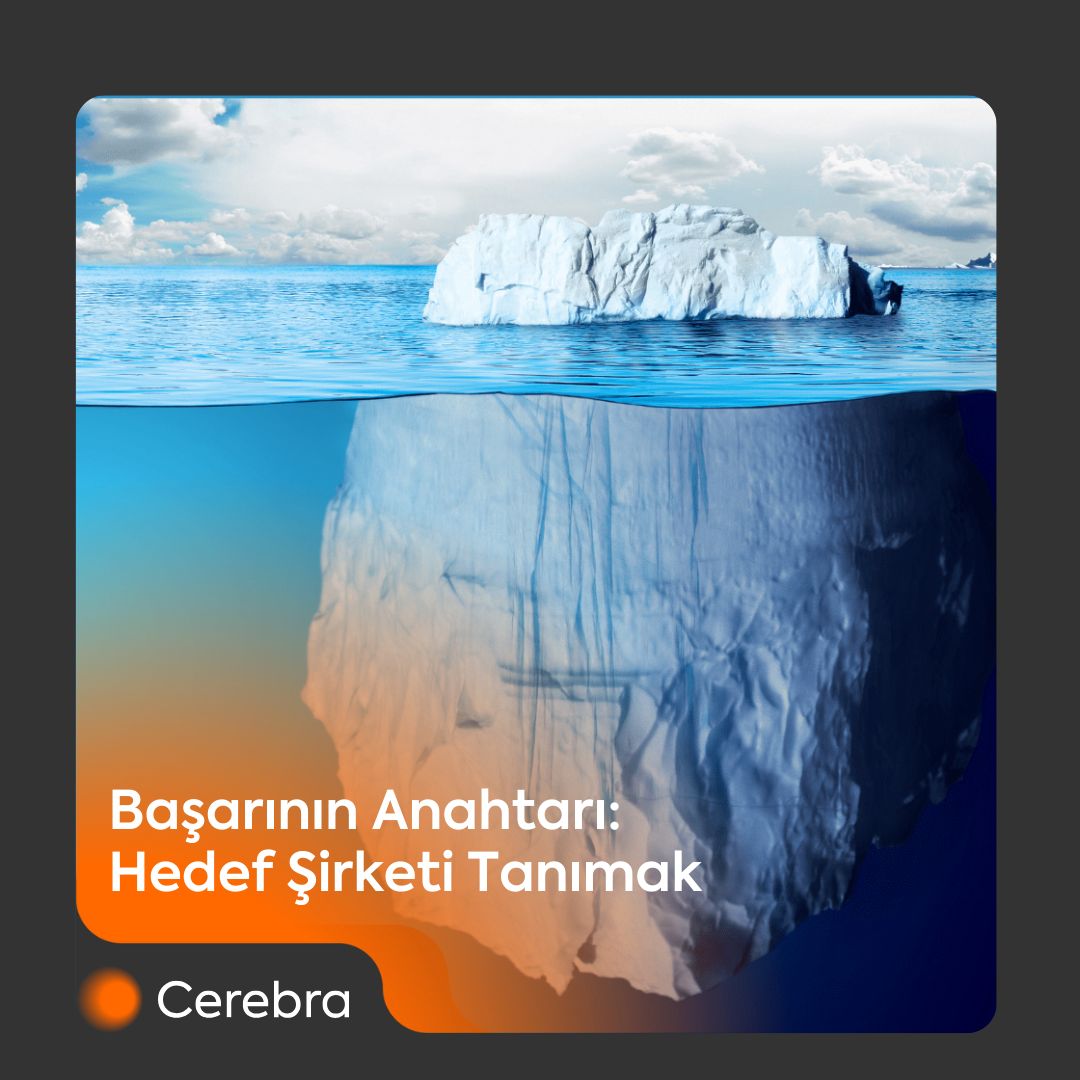 Birleşme ve Satın Alma İşlemlerine İlişkin Kurumsal İstihbarat ... Birleşme ve Satın Alma İşlemlerine İlişkin Kurumsal İstihbarat ...