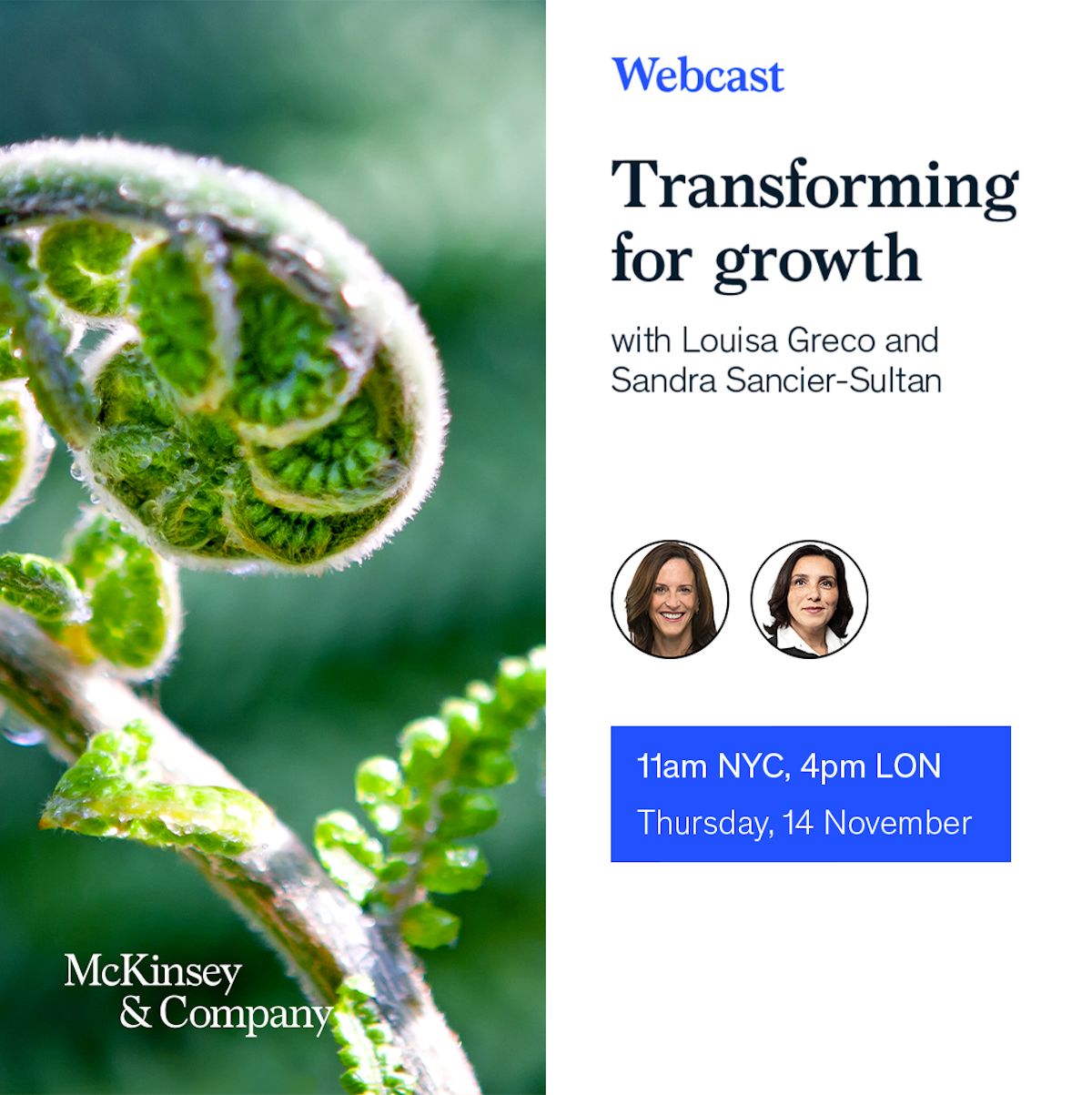 #transformation #growth #mckinsey #mckinseywebcast | Steffen Fuchs #transformation #growth #mckinsey #mckinseywebcast | Steffen Fuchs
