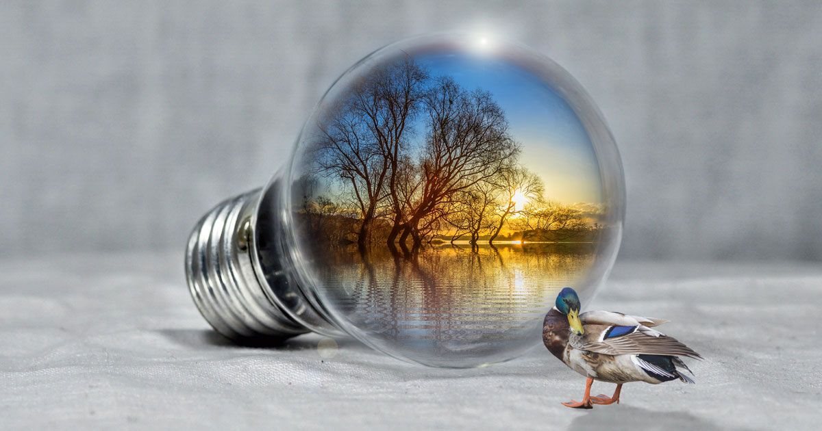 Environmental Impact Assessment - EPIC Online Training Course | EPIC ... Environmental Impact Assessment - EPIC Online Training Course | EPIC ...