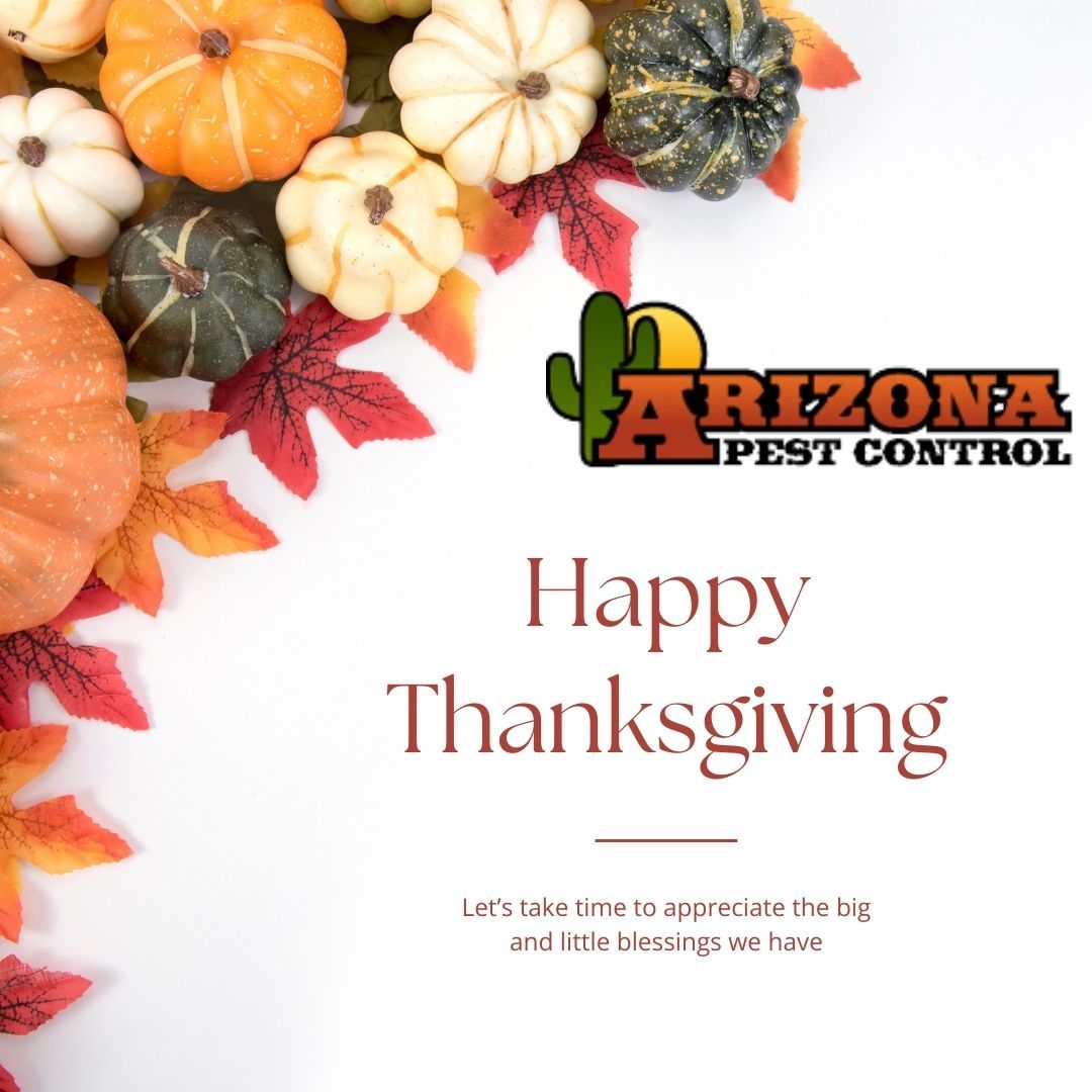 Arizona Pest Control on LinkedIn: Wishing you and your loved ones a ... Arizona Pest Control on LinkedIn: Wishing you and your loved ones a ...