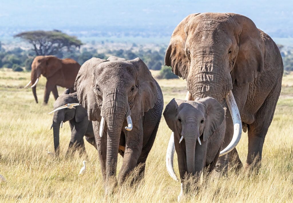 Understanding How PostgreSQL I/O Works: Key Concepts and Performance ... Understanding How PostgreSQL I/O Works: Key Concepts and Performance ...
