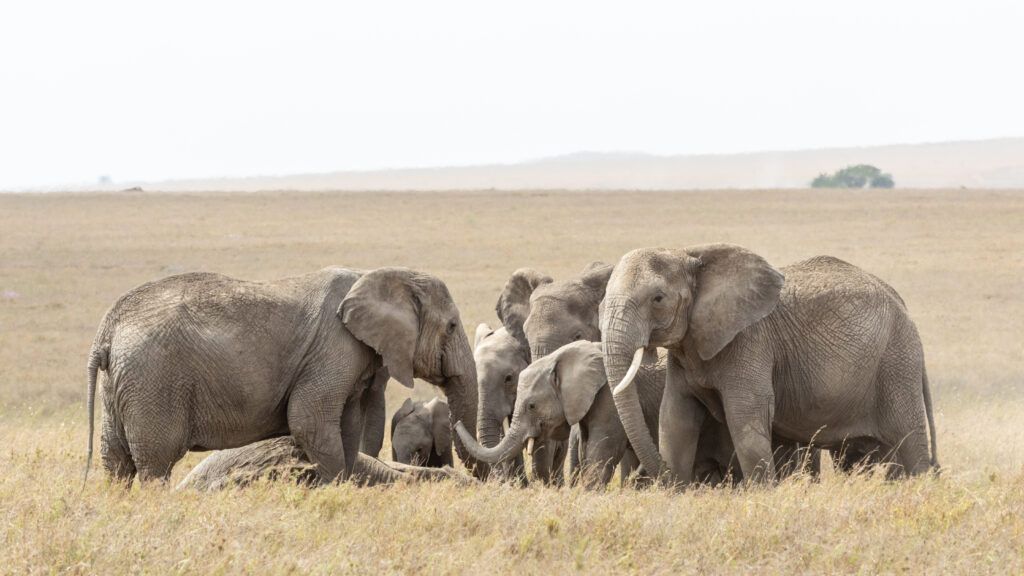 MinervaDB on LinkedIn: Partitioning Large Tables in PostgreSQL Without ... MinervaDB on LinkedIn: Partitioning Large Tables in PostgreSQL Without ...