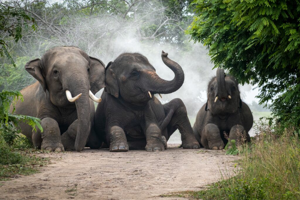 Tuning PostgreSQL Server: How Data Block Visits and Undo Are ... Tuning PostgreSQL Server: How Data Block Visits and Undo Are ...