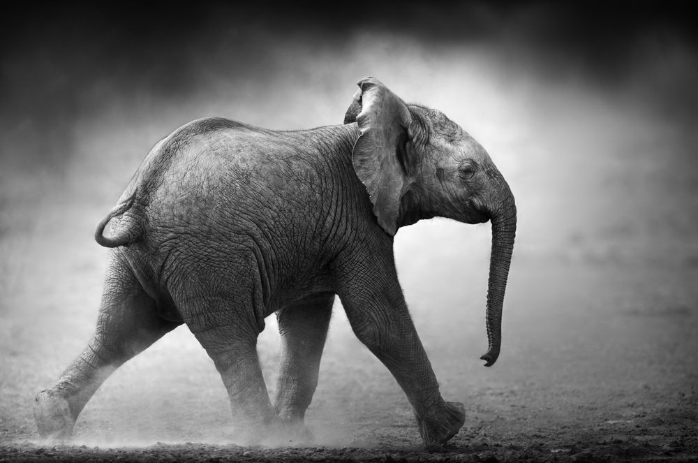 Optimizing PostgreSQL 16 Performance with Bind Variables | MinervaDB Optimizing PostgreSQL 16 Performance with Bind Variables | MinervaDB