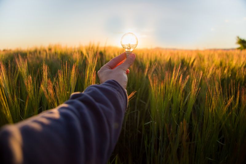 Karim Abiali CPA (DE), CA, CIA on LinkedIn: EY Canada 2023 Transparency ... Karim Abiali CPA (DE), CA, CIA on LinkedIn: EY Canada 2023 Transparency ...