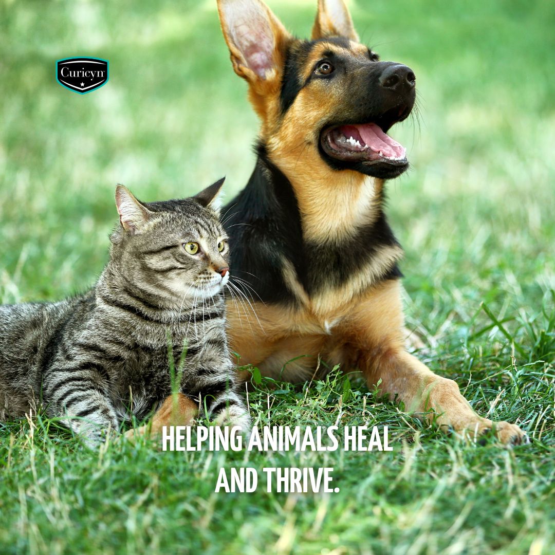 Curicyn on LinkedIn: Advanced, Non-Toxic Animal Wound Care Products ... Curicyn on LinkedIn: Advanced, Non-Toxic Animal Wound Care Products ...