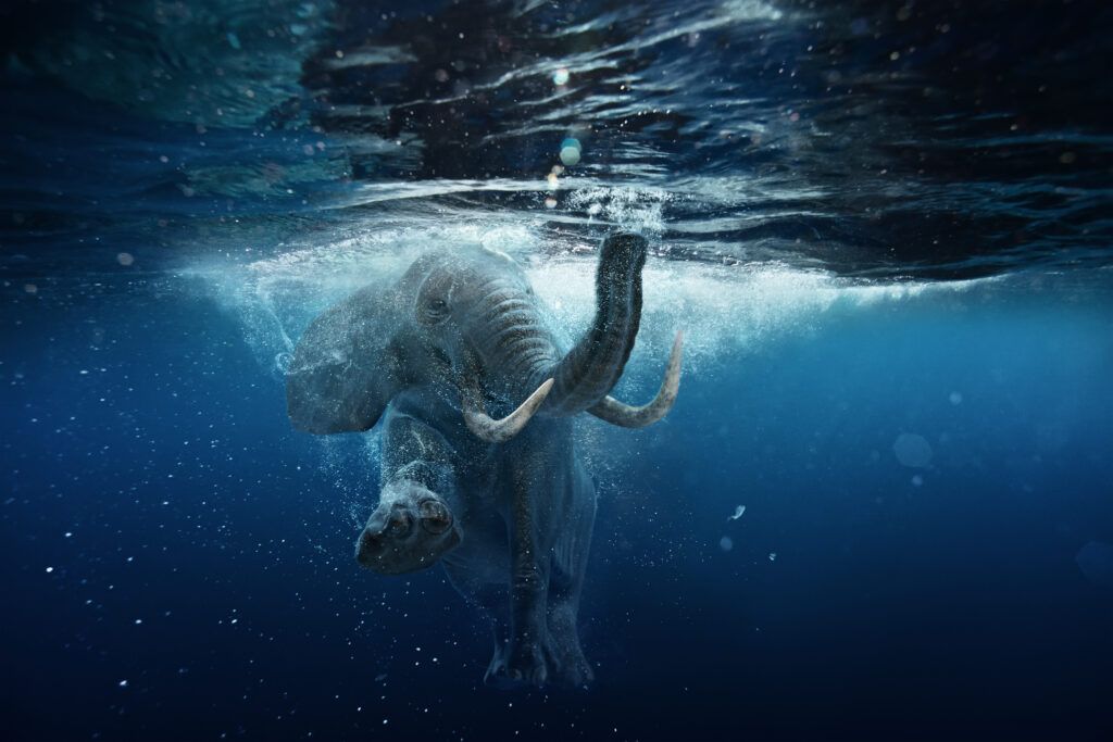 MinervaDB on LinkedIn: Understanding PostgreSQL Locks, Latches ... MinervaDB on LinkedIn: Understanding PostgreSQL Locks, Latches ...