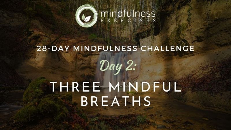 Sean Fargo on LinkedIn: Three Mindful Breaths - Guided Mindfulness ... Sean Fargo on LinkedIn: Three Mindful Breaths - Guided Mindfulness ...