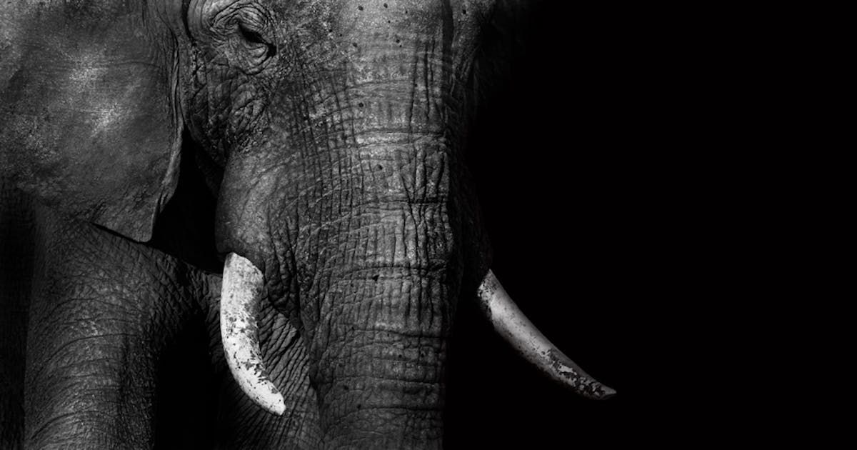 Master PostgreSQL Queries Guide with Examples | MinervaSQL Master PostgreSQL Queries Guide with Examples | MinervaSQL