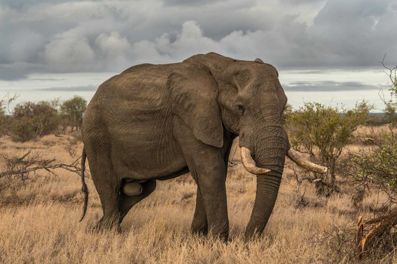 Optimizing PostgreSQL for Bad Self-Joins | Shiv Iyer Optimizing PostgreSQL for Bad Self-Joins | Shiv Iyer