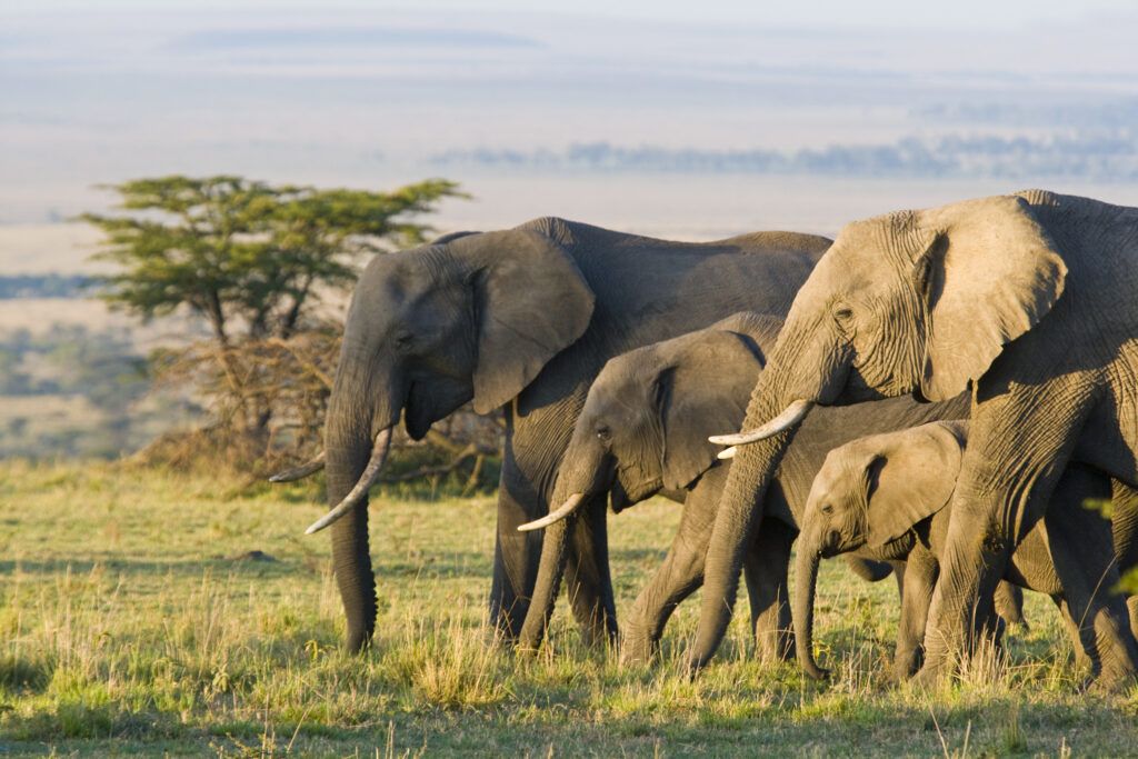 Shiv Iyer on LinkedIn: Leveraging Hash Joins in PostgreSQL: A ... Shiv Iyer on LinkedIn: Leveraging Hash Joins in PostgreSQL: A ...