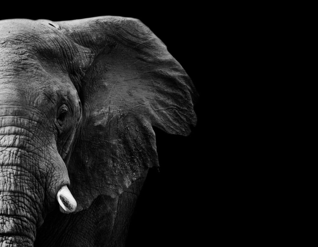MinervaDB on LinkedIn: undo blocks implementation in PostgreSQL internally MinervaDB on LinkedIn: undo blocks implementation in PostgreSQL internally