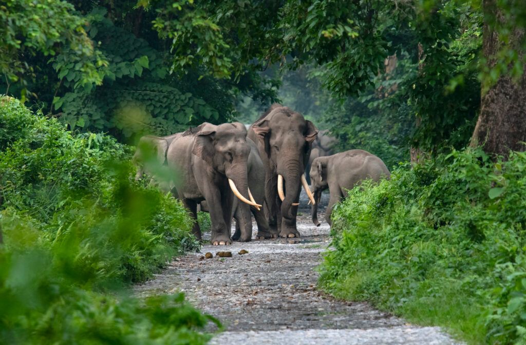Hacking the PostgreSQL Parser: A Deep Dive into PostgreSQL Internals ... Hacking the PostgreSQL Parser: A Deep Dive into PostgreSQL Internals ...