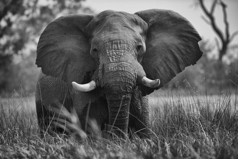 Ask DB Experts on LinkedIn: Managing Hierarchical Data in PostgreSQL Ask DB Experts on LinkedIn: Managing Hierarchical Data in PostgreSQL