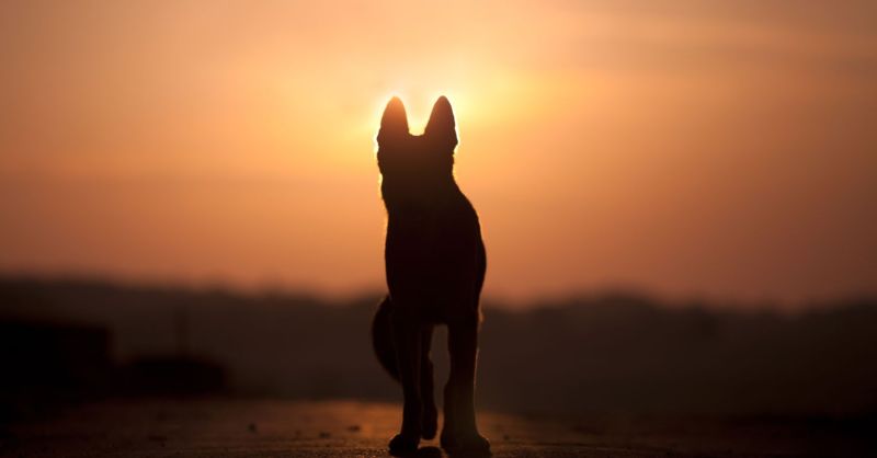 Stan Goldberg, Ph.D. on LinkedIn: Understanding Grief: It's Not What ... Stan Goldberg, Ph.D. on LinkedIn: Understanding Grief: It's Not What ...