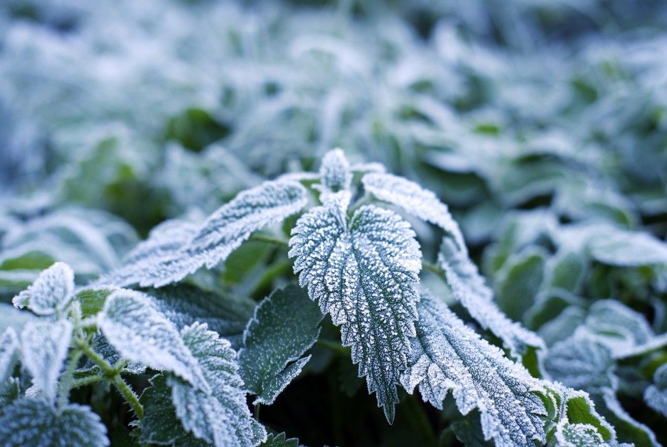 Northwestern University on LinkedIn: 👋🥶 Farewell frost! Northwestern ... Northwestern University on LinkedIn: 👋🥶 Farewell frost! Northwestern ...