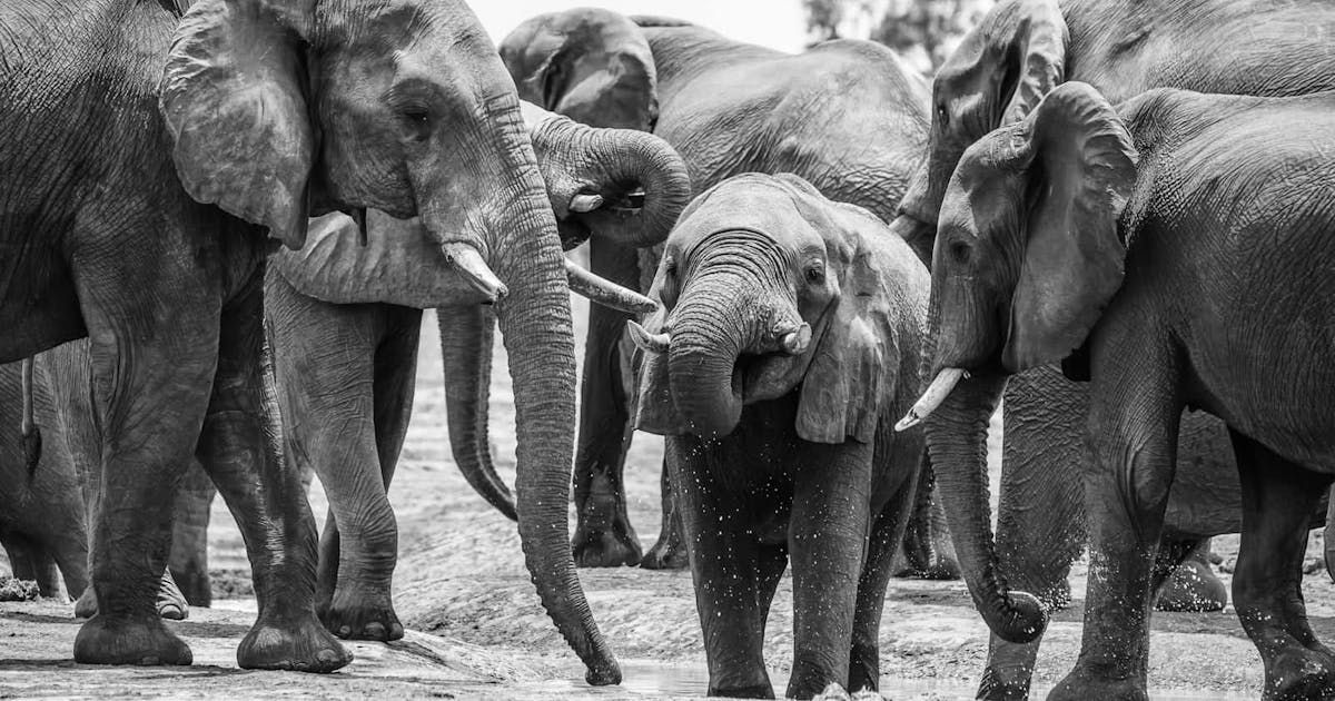 MinervaDB on LinkedIn: Setting Up TDE in PostgreSQL: A Guide MinervaDB on LinkedIn: Setting Up TDE in PostgreSQL: A Guide