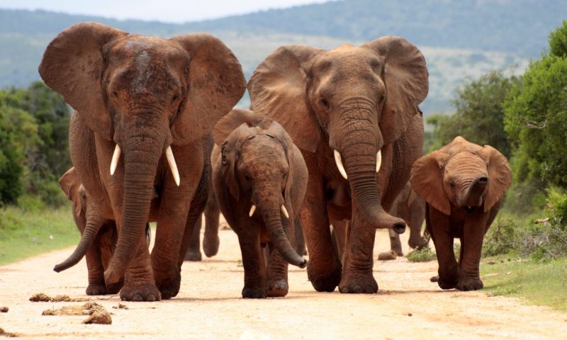 MinervaDB on LinkedIn: Configuring PostgreSQL for optimal UNDO and REDO ... MinervaDB on LinkedIn: Configuring PostgreSQL for optimal UNDO and REDO ...