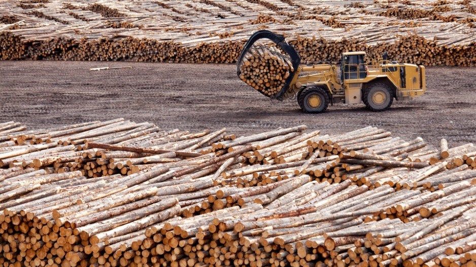 Amit Chandra Shekar on LinkedIn: Opinion: B.C.'s forestry future tied ... Amit Chandra Shekar on LinkedIn: Opinion: B.C.'s forestry future tied ...