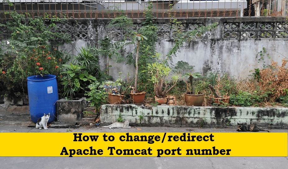 Chatri Ngambenchawong on LinkedIn: How to change/redirect Apache Tomcat ... Chatri Ngambenchawong on LinkedIn: How to change/redirect Apache Tomcat ...
