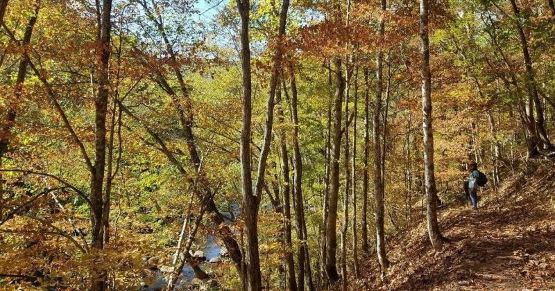 Andrea Bond on LinkedIn: The Iconic Hiking Trail In West Virginia Is ... Andrea Bond on LinkedIn: The Iconic Hiking Trail In West Virginia Is ...