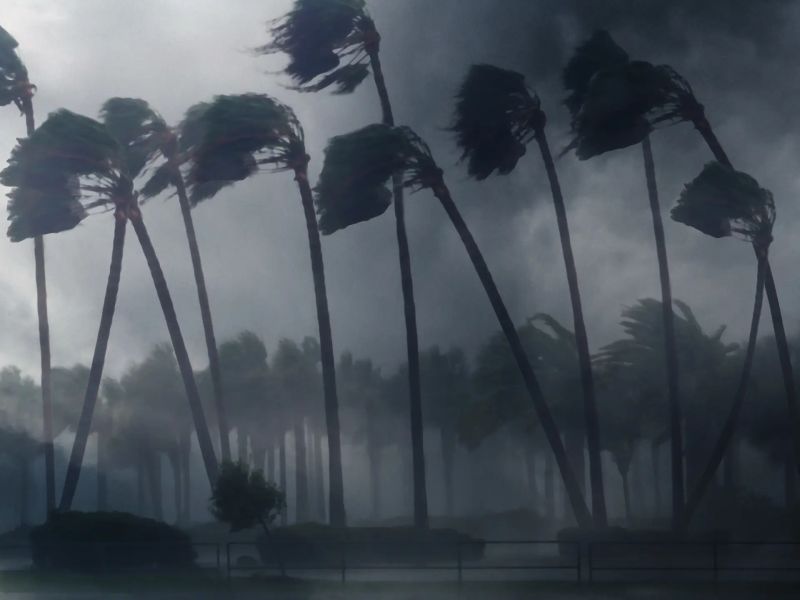 Seth Eisenberg on LinkedIn: Hurricane Helene: Essential Tips to Prepare ... Seth Eisenberg on LinkedIn: Hurricane Helene: Essential Tips to Prepare ...