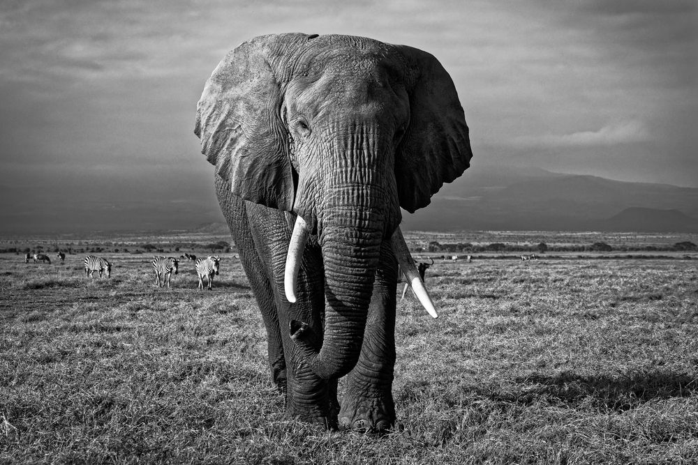 Missing Statistics in PostgreSQL: Impact on Query Performance | MinervaDB Missing Statistics in PostgreSQL: Impact on Query Performance | MinervaDB